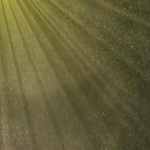 COSHH Assessment for Dust | HSEDocs