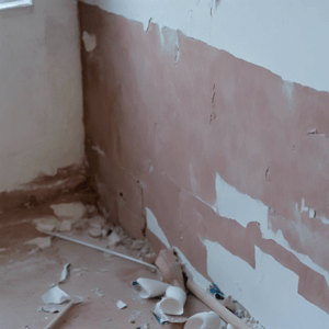 Risk Assessment for Removing Plaster | HSEDocs